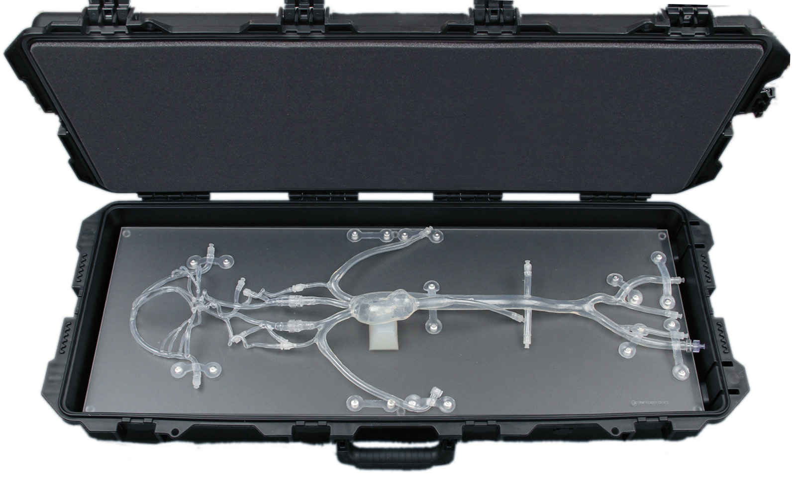 Neuro System Trainer, Aneurysms, Type III Arch – United Biologics