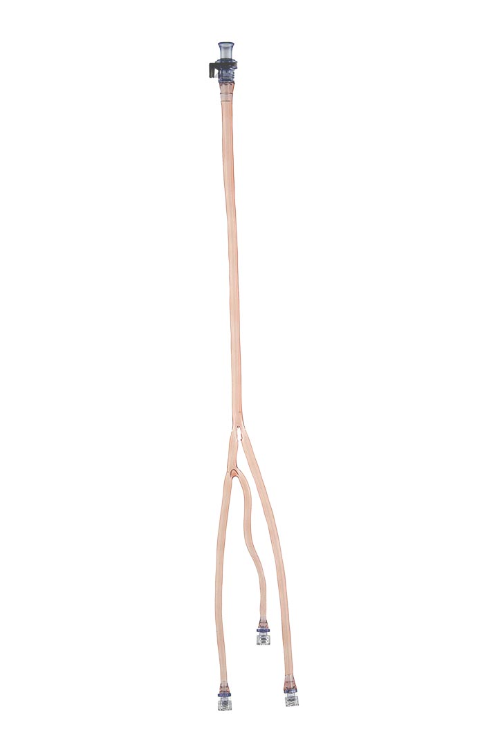 Arterial Arm Model – United Biologics
