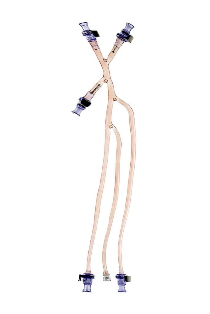 Lower Arterial Leg Model – United Biologics