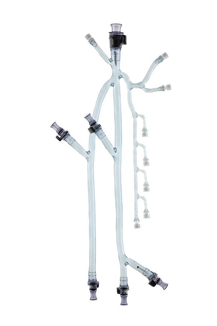 Venous Upper Leg Model – United Biologics