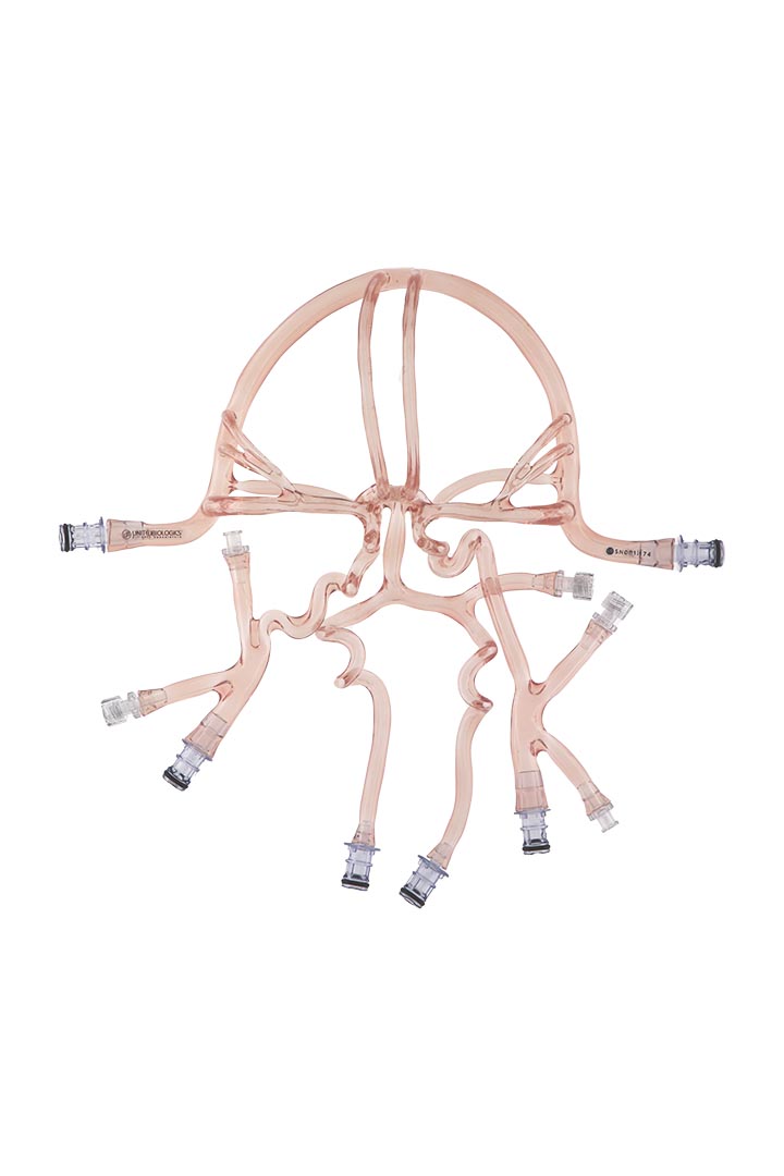 Circle of Willis Model – United Biologics