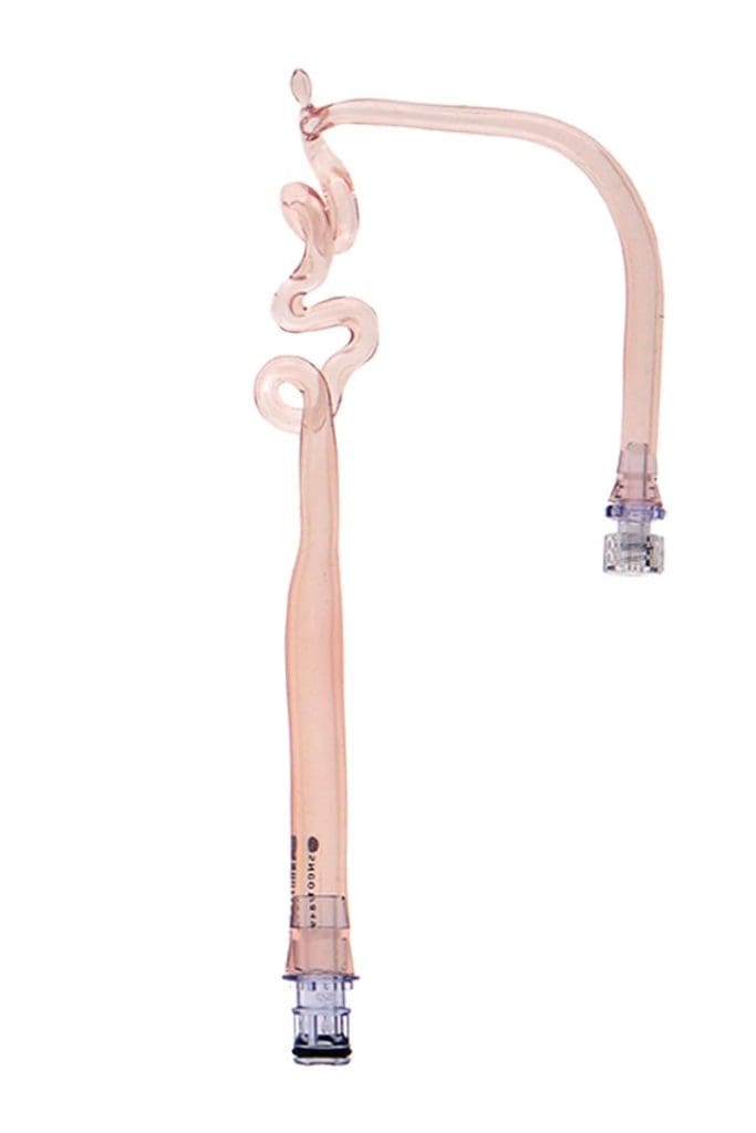 Internal Carotid Artery Model 5e9a