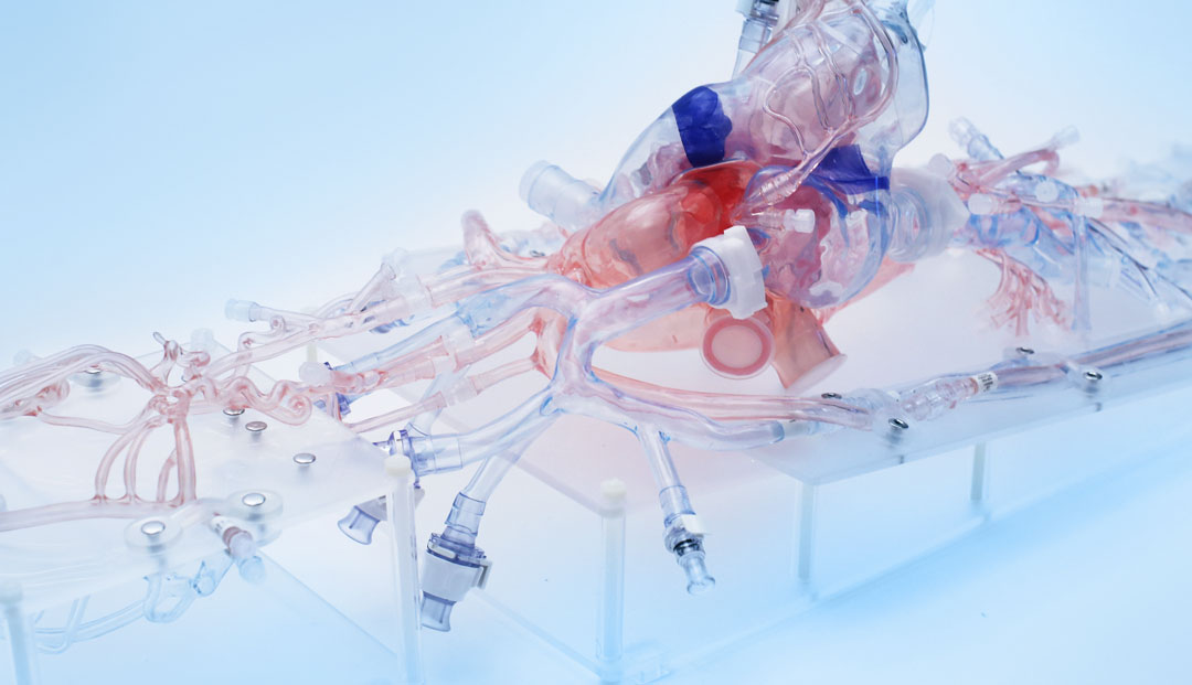 United Biologics | Silicone Vasculature