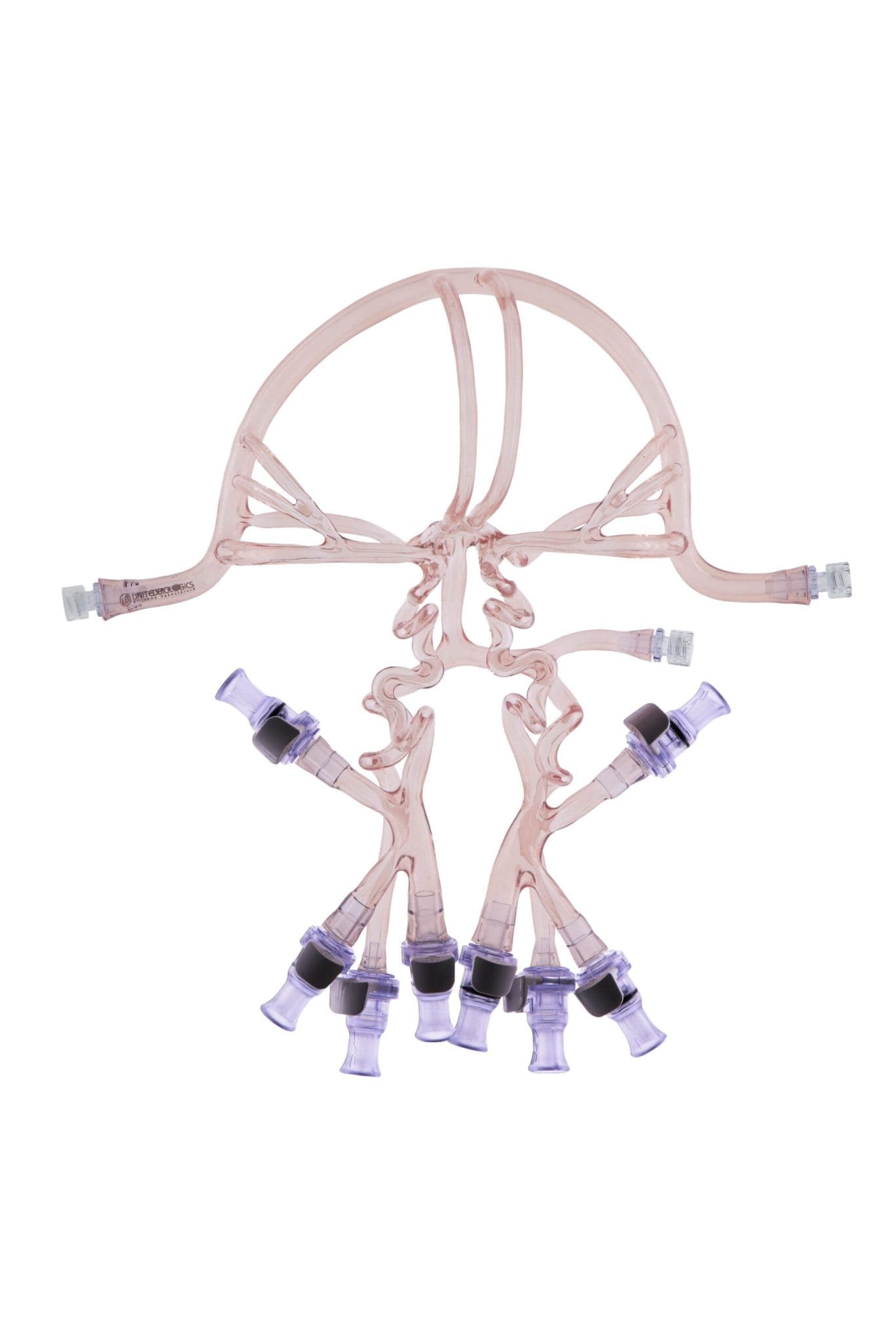 Neuro | United Biologics