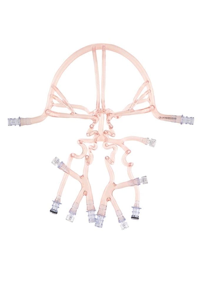 Circle of Willis Model with Challenge ICA – United Biologics